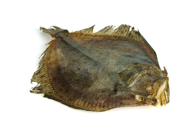 Dried Sole Fish Stock Photos - Free & Royalty-Free Stock Photos from ...