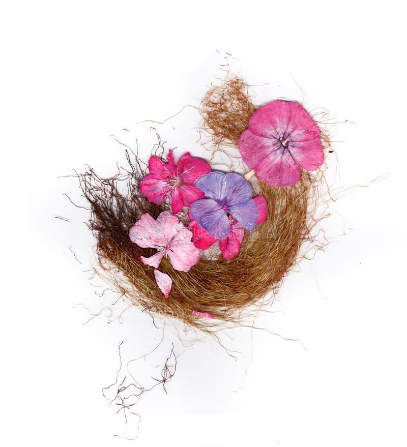 Dried Flower Petals, Application Bouquet of Dry Flowers Stock Photo ...