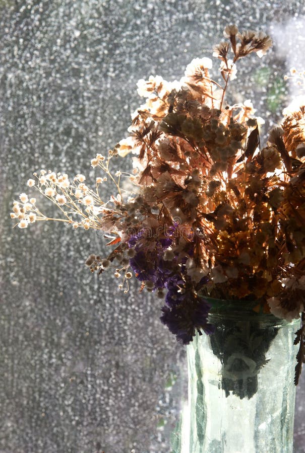 Dried Flowers on Abstract Background Stock Photo - Image of bunch ...