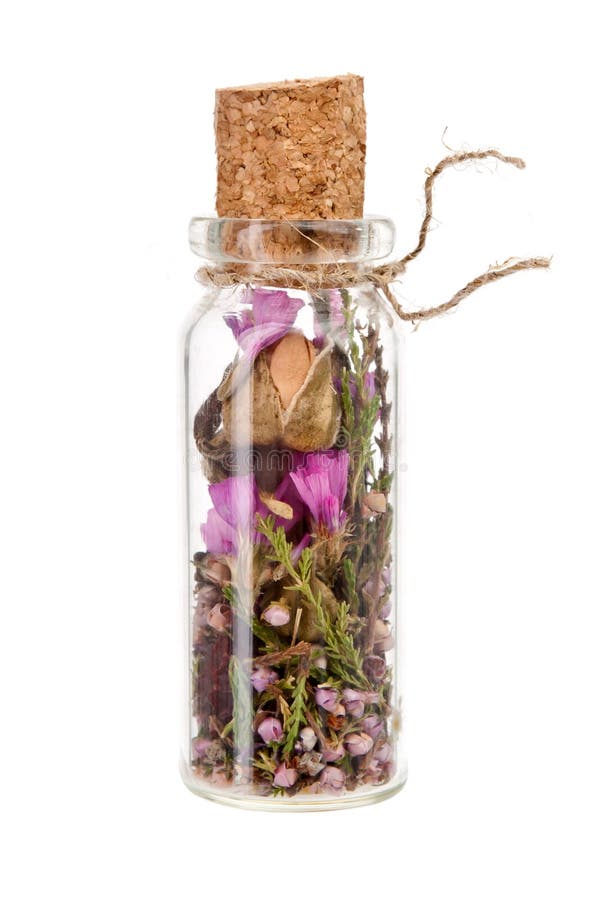 Dried flowers in a flask stock photo. Image of biology - 18351070
