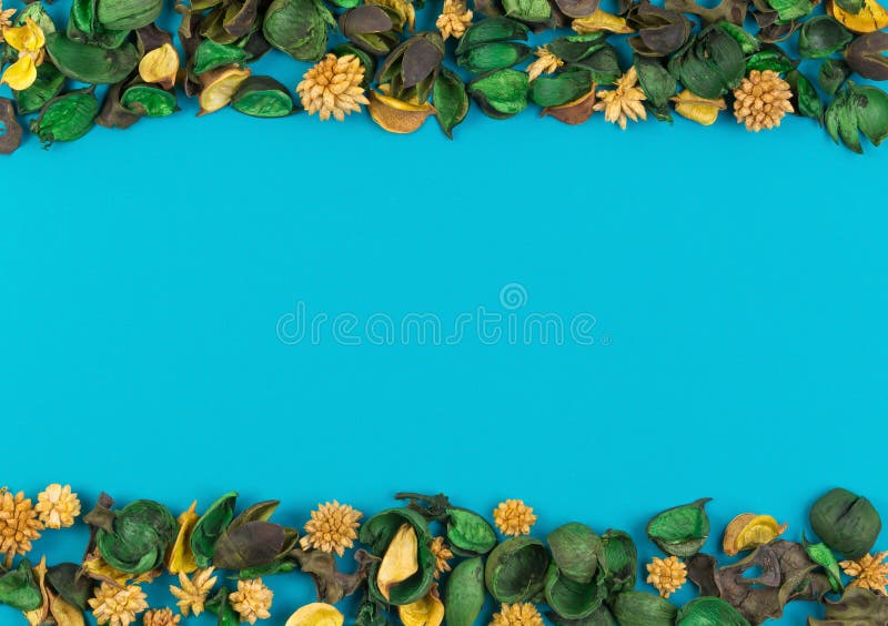 Dried Flowers and Leaves Border Frame on Blue Background. Top View ...