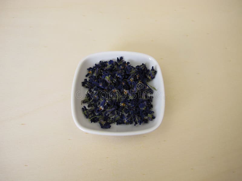 Dried Flowers of Sweet Violets Stock Image - Image of viola, flowering ...