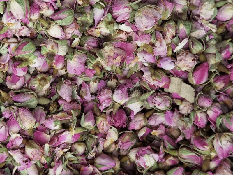 Dried Flowers for Tea Infusion in Bulk but Isolated Stock Photo - Image ...