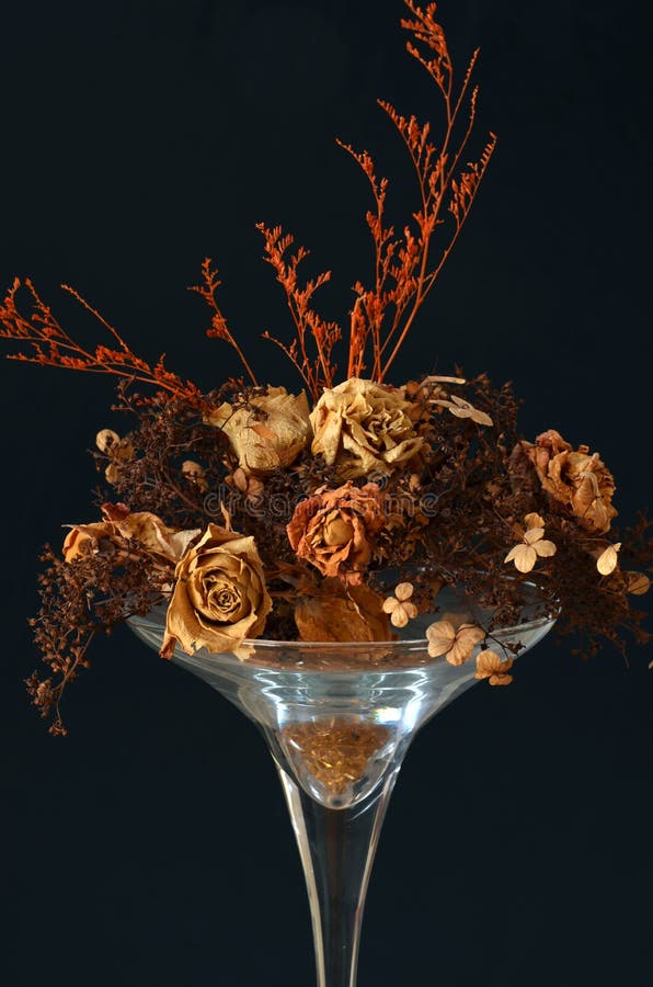 Dried flowers in a vase stock image. Image of floral - 50729063