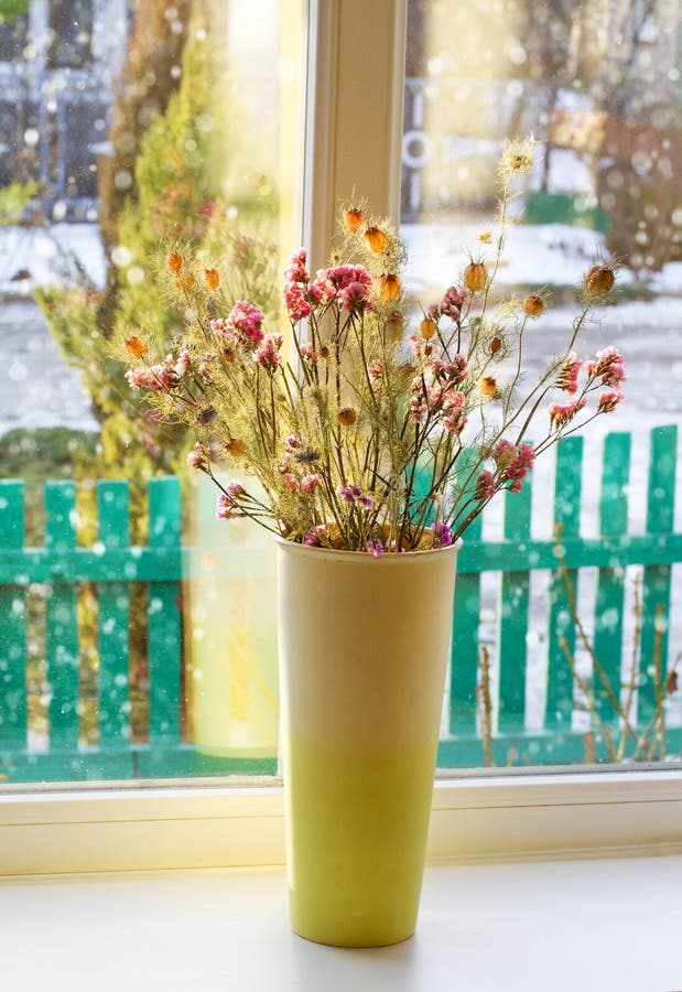 Dried Flowers in Vase on a Window Against Winter Background Stock Photo ...