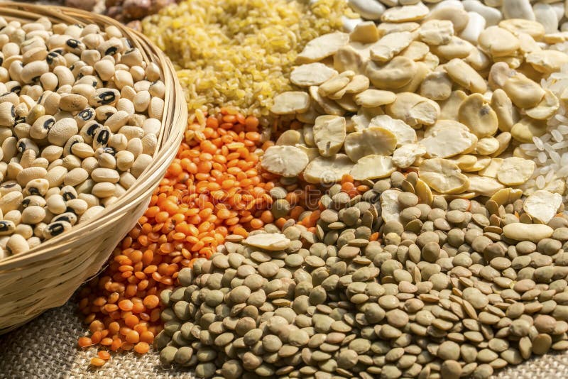 The Dried Foods; Mixed Raw Legumes Stock Image - Image of lentil, dried ...