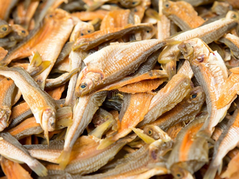 Dried Fresh Fish in the Market Stock Image - Image of fish, animal ...