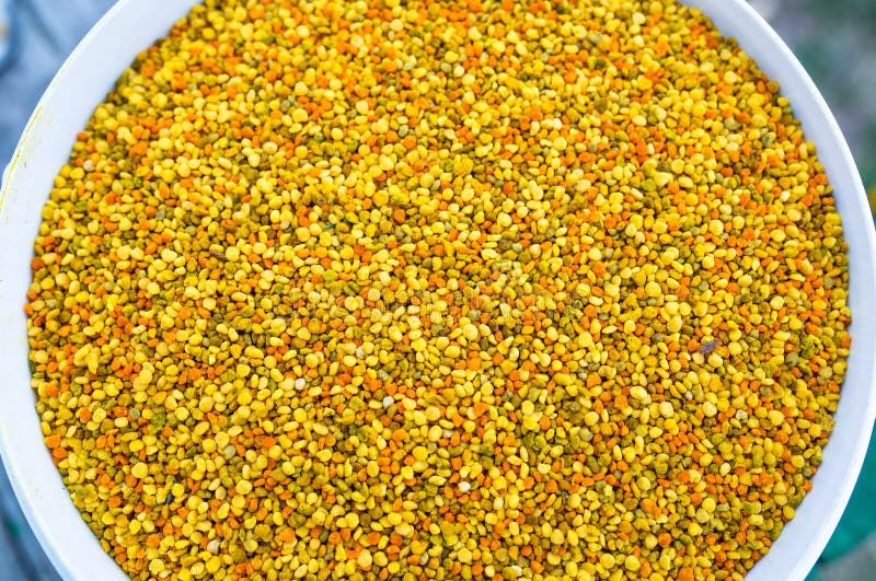 Dried Fresh Pollen in White Plastic Recipient Stock Photo - Image of ...