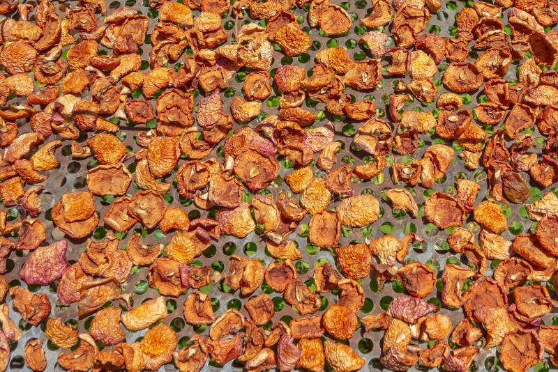 Dried Fruits. the Drying Process Apples on a Metal Grid. Top View Stock ...