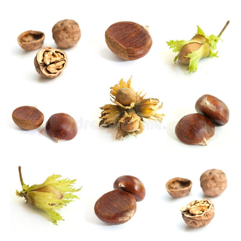 Dried Fruits Forest Collage Stock Photos - Free & Royalty-Free Stock ...