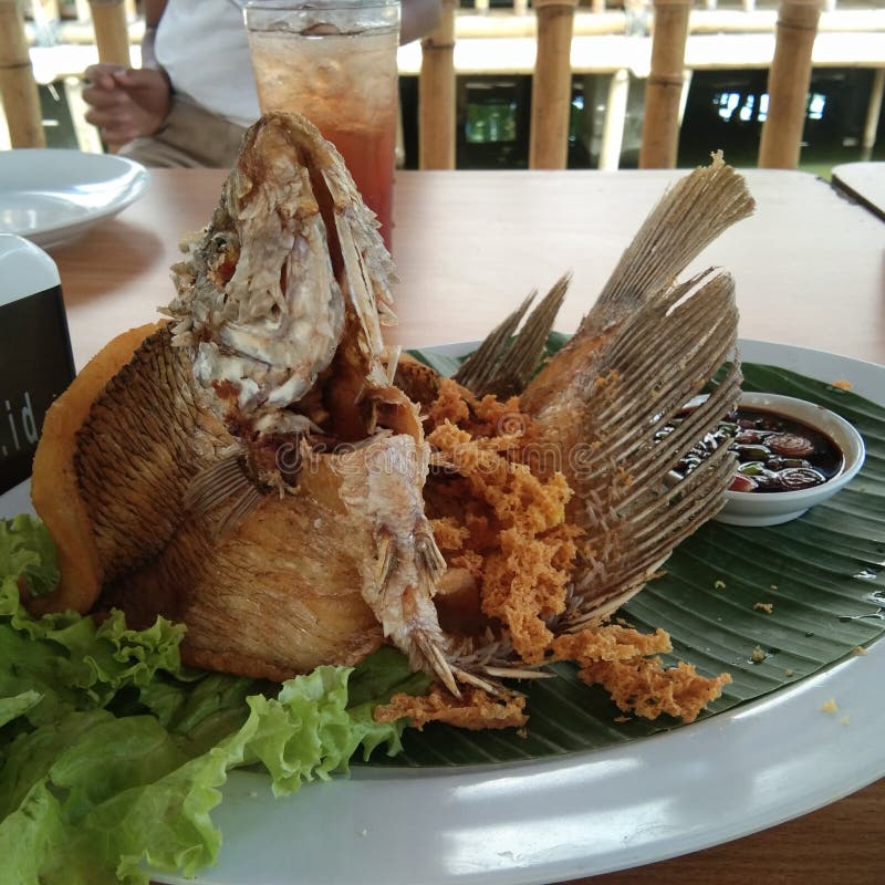 Dried fry fish stock photo. Image of fish, fried, delicious - 230082826