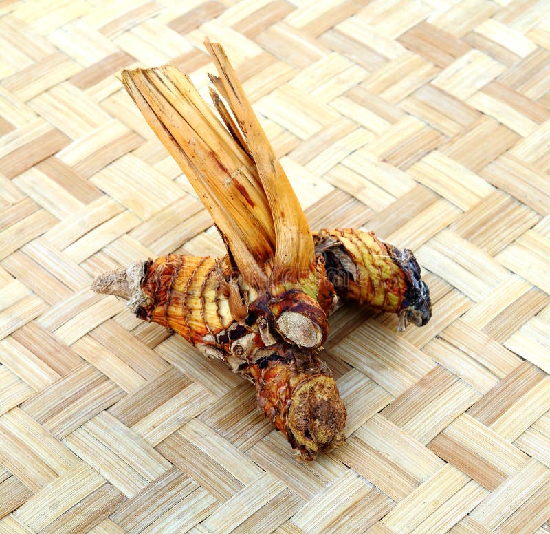 Dried galangal on panier stock image. Image of thai, healthy - 49617249