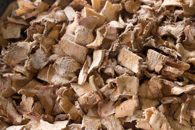 Dried Galangal Thai Herbal. Stock Image - Image of dried, sliced: 84758983