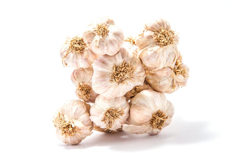 Dried Galic stock photo. Image of healthy, cooking, juicy - 48368490