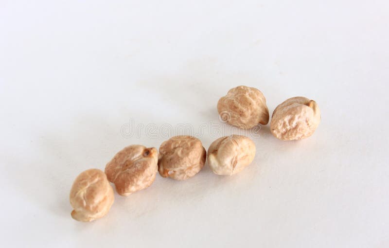 Dried Garbanzo Beans Chickpeas Stock Image - Image of indian, fiber ...