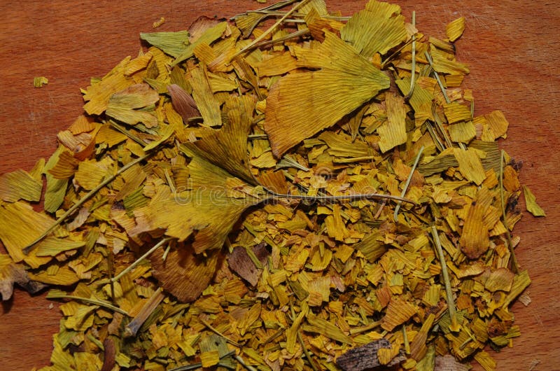 Dried Ginkgo Leaves on the Table Stock Photo - Image of leaves ...