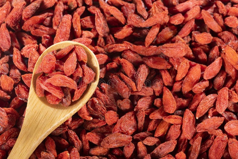 Dried Goji Berries - Lycium Barbarum Stock Image - Image of barbarum ...
