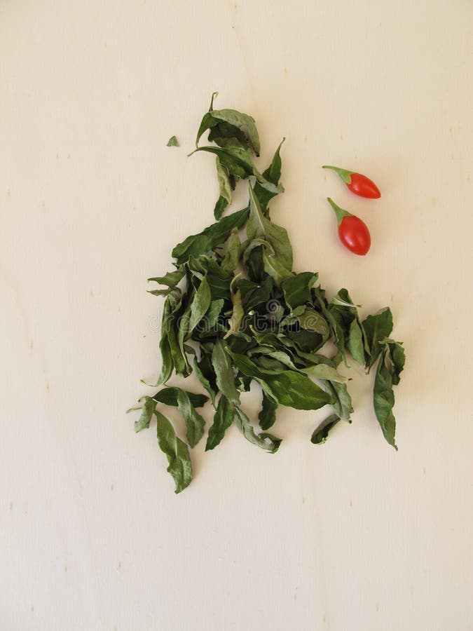 Goji leaves tea stock image. Image of goji, berry, herbal - 150696901