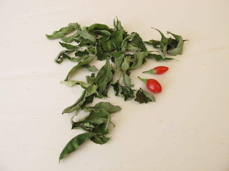 Dried goji leaves stock photo. Image of leaf, chinese - 146997070