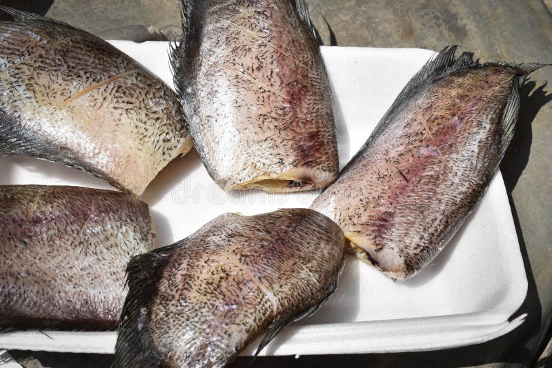 Dried Gourami Fishs on Sunshine Stock Image - Image of ingredient, food ...