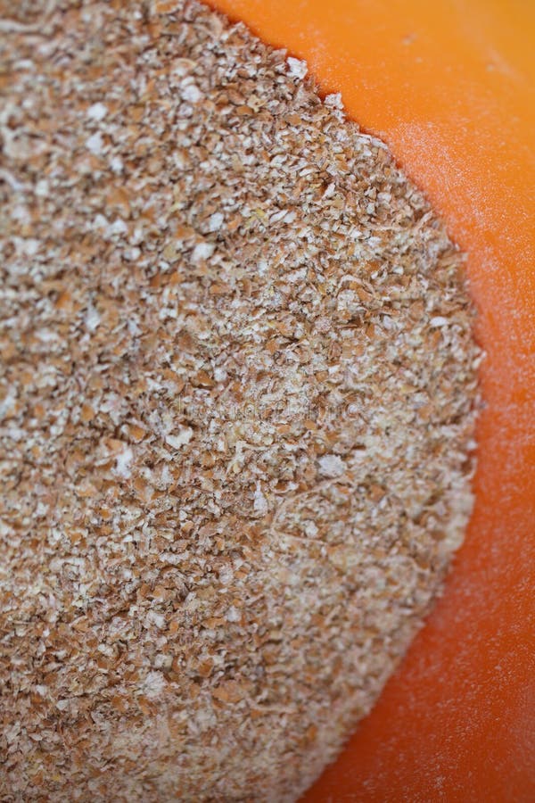 Dried Grain Wheat Sprouts Close Up Stock Photo - Image of health, crop ...