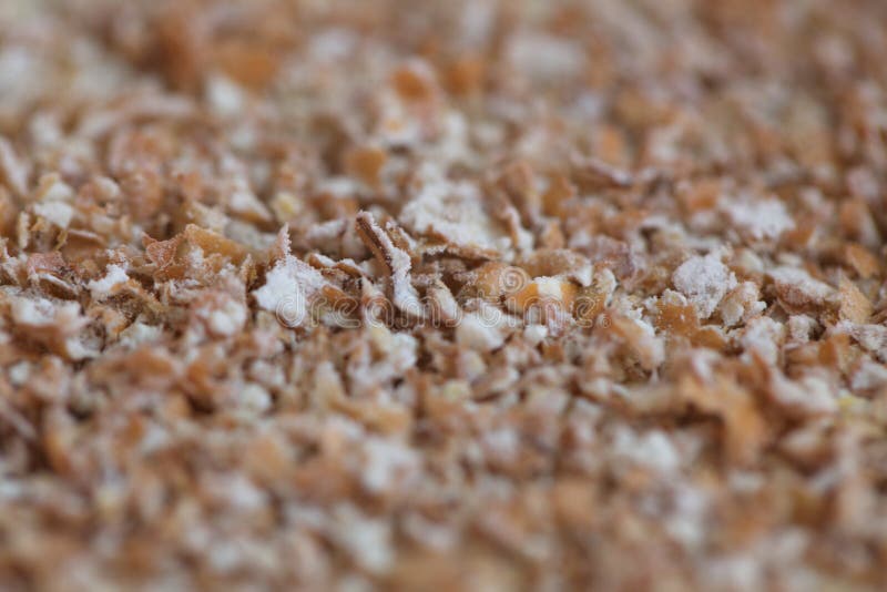 Dried Grain Wheat Sprouts Close Up Stock Image - Image of sprouts ...