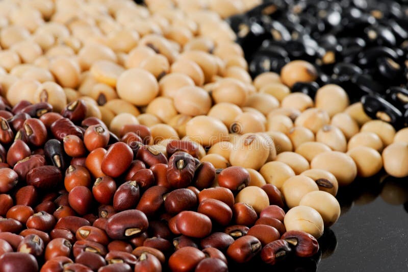 Dried grains beans stock photo. Image of beans, nuts - 121624332