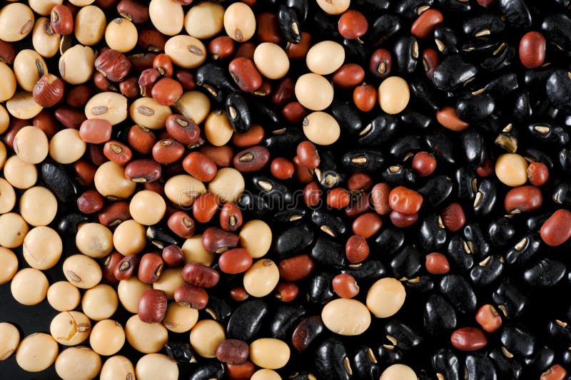 Dried grains stock photo. Image of coriander, nuts, seed - 114901858