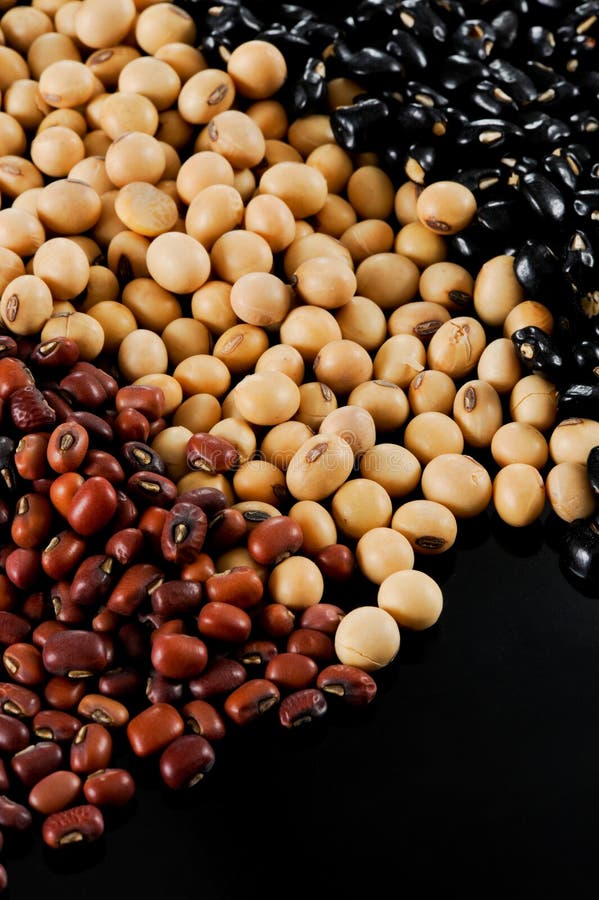 Dried grains stock image. Image of seed, beans, bean - 115359765