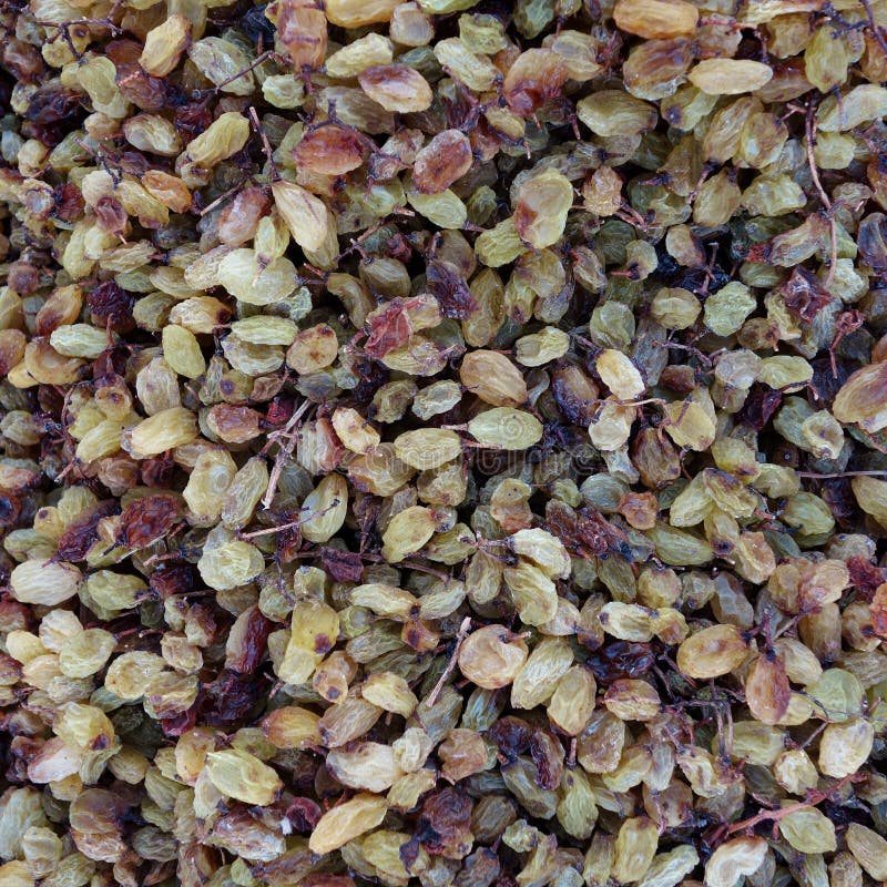 Dried Grapes. stock image. Image of berry, texture, berries - 38394303