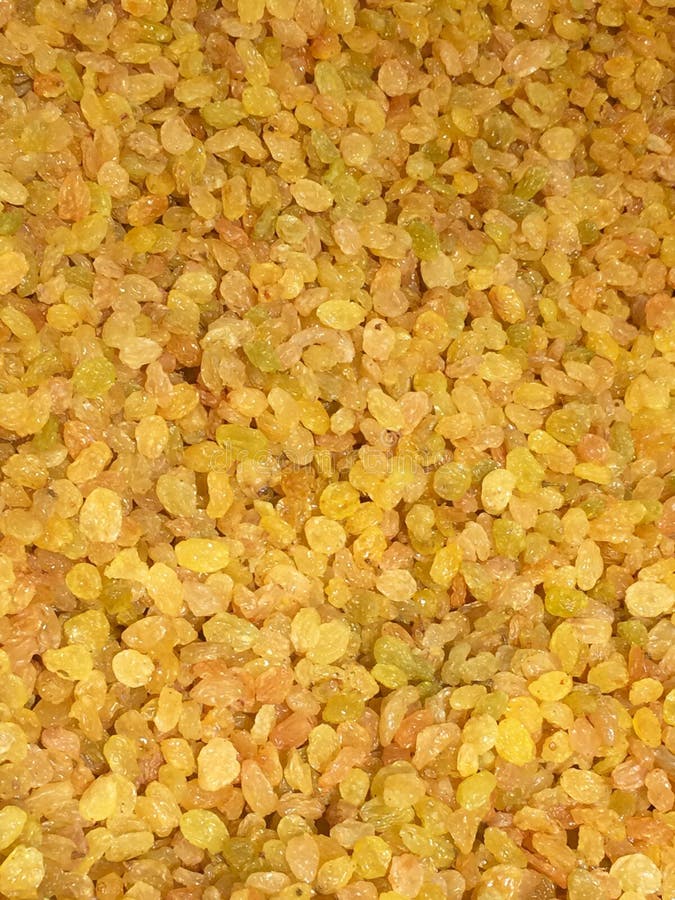 Dried grapes stock photo. Image of decoration, focus - 92789302