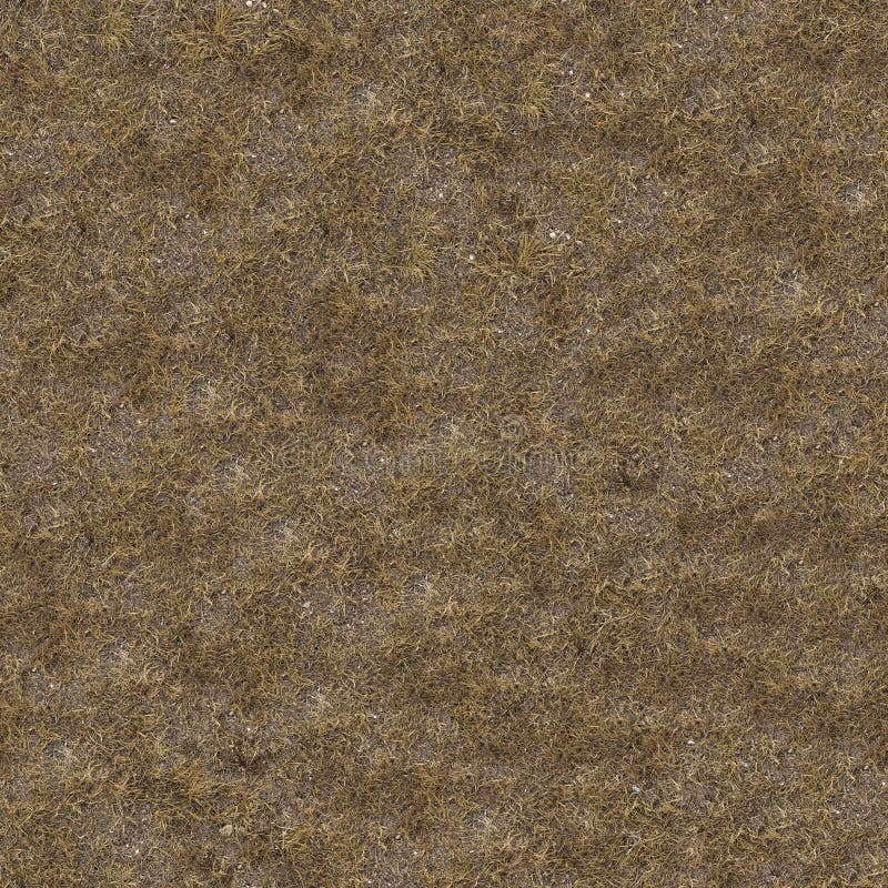 Dried Grass. Seamless Tileable Texture. Stock Illustration ...