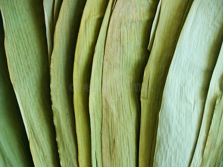 657 Dried Bamboo Leaves Texture Stock Photos - Free & Royalty-Free ...