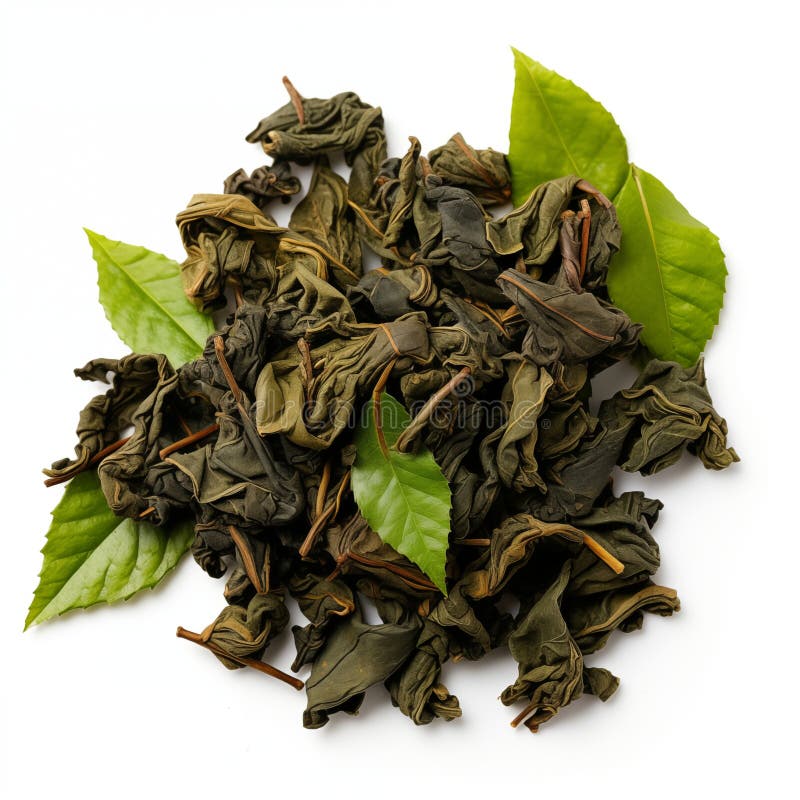 Dried Green Tea Leaves with Fresh Green Leaves Stock Illustration ...