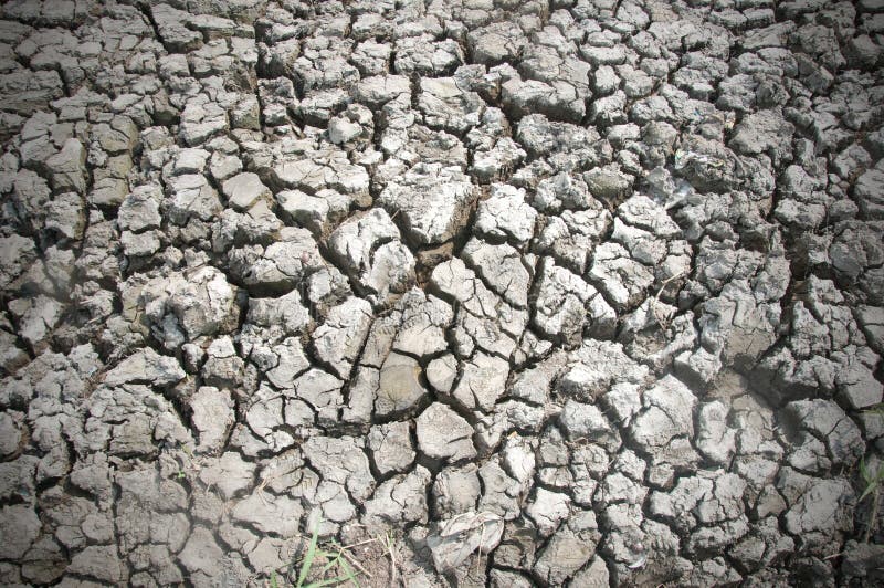 Dried ground covered stock photo. Image of clay, abstract - 24550694