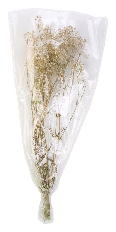 Dried Gypsy Flower Bouquet Stock Photos - Free & Royalty-Free Stock ...
