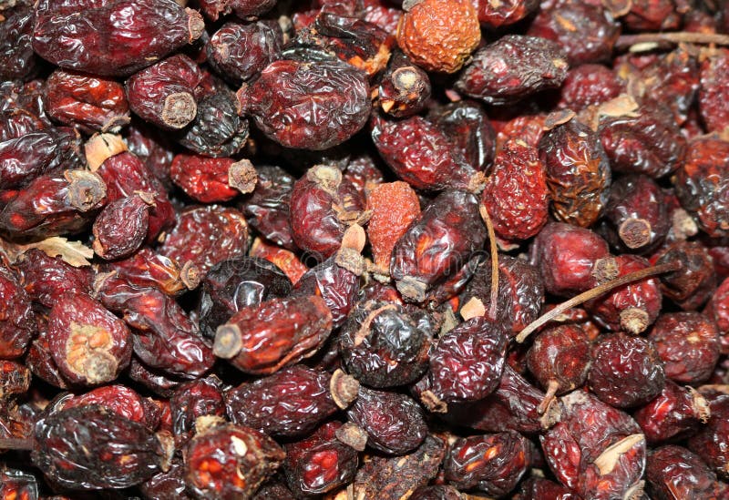 Dried Hawthorn Fruit. Natural Berry Beverage Production. Medicinal ...