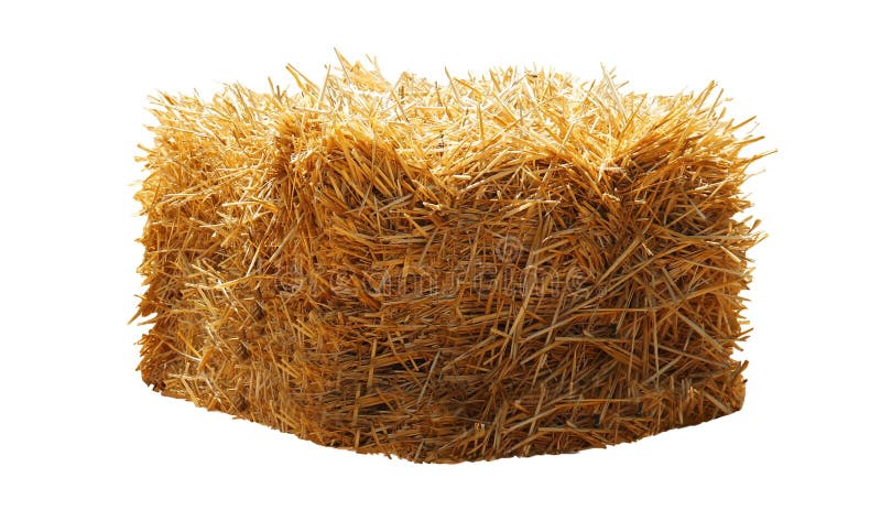Dried Hay Bale Isolated on White. Agriculture Industry Stock Image ...
