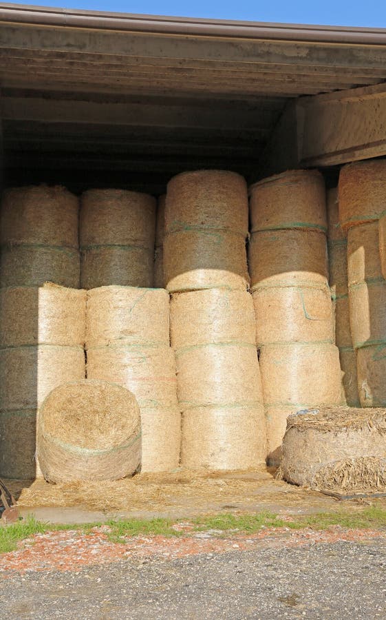 Dried hay bales stock photo. Image of hayfield, storage - 92503804