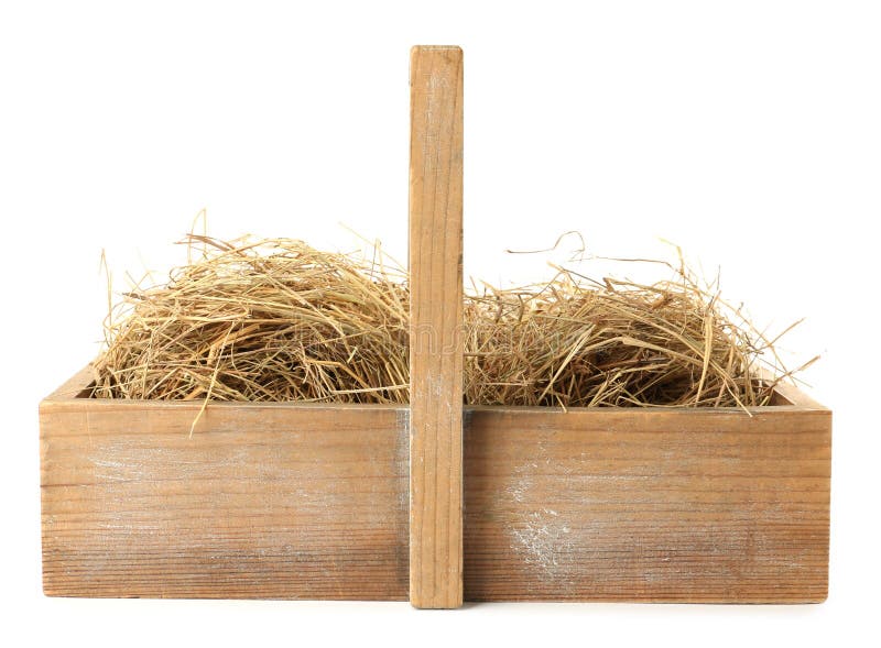 Dried Hay in Wooden Basket on White Background Stock Photo - Image of ...