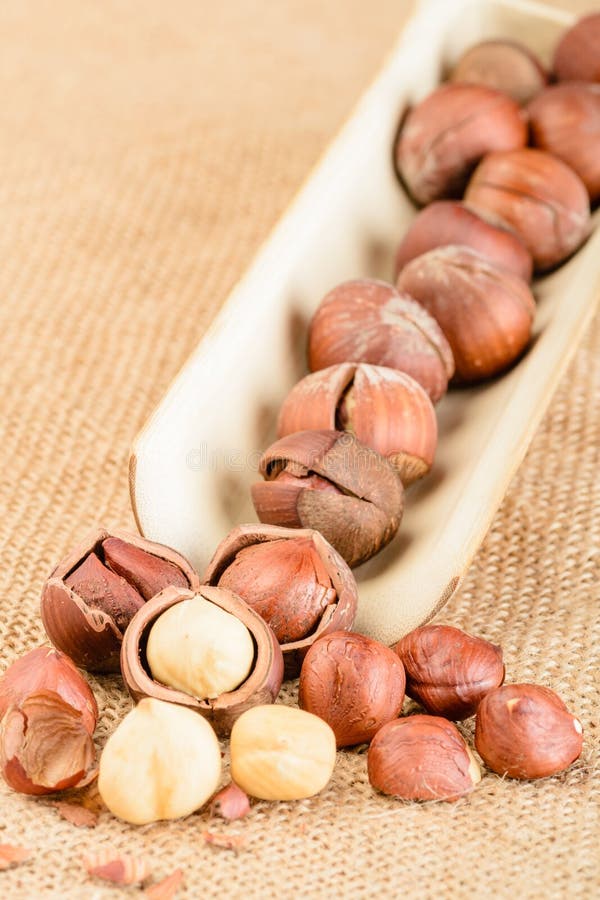 Dried hazelnut stock image. Image of broken, hazelnut - 53998683