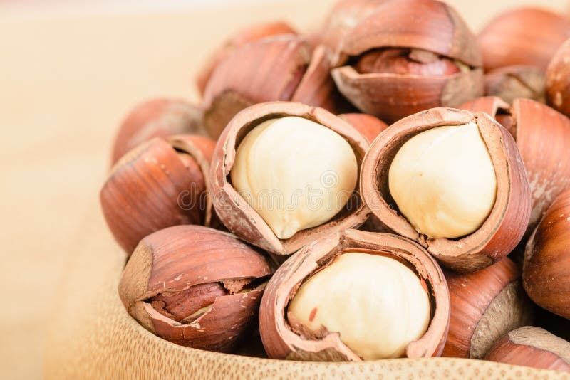 Dried hazelnut stock photo. Image of closeup, peeled - 54000544