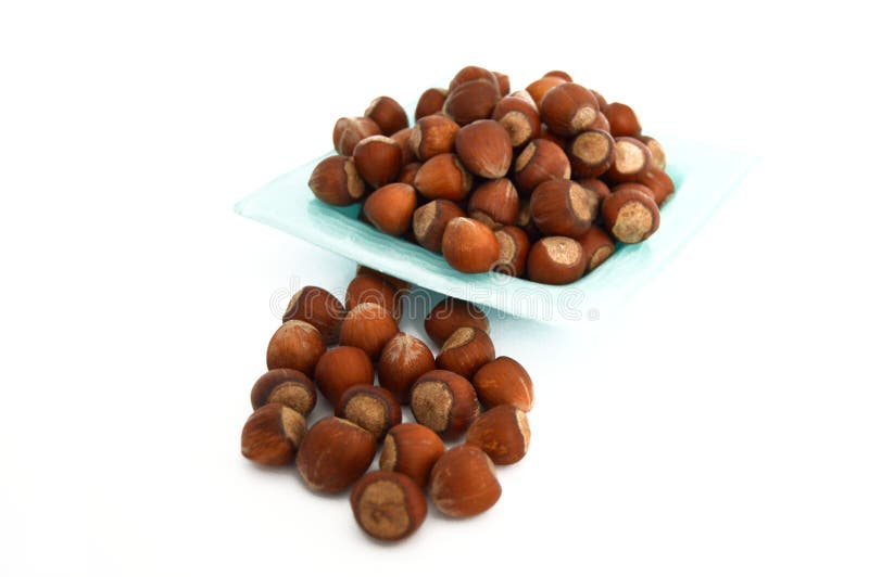 Hazelnut,Chestnut,Walnut And Linden Tree Leaves Stock Photo - Image of ...