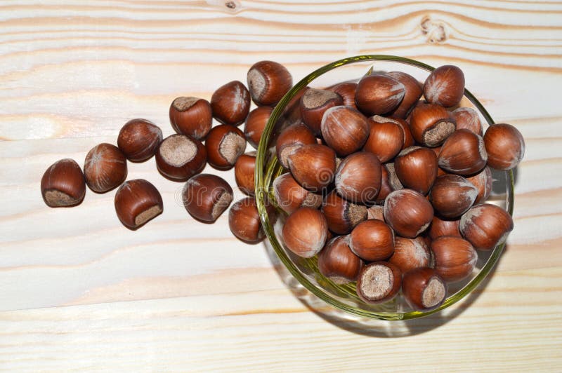 Dried hazelnut pictures stock image. Image of green, castle - 85948983