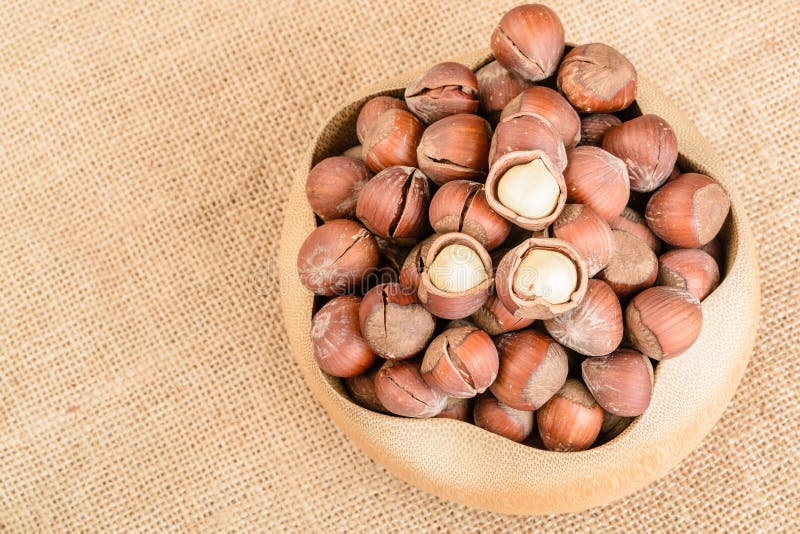 Dried hazelnut stock photo. Image of food, nutty, edible - 53998686
