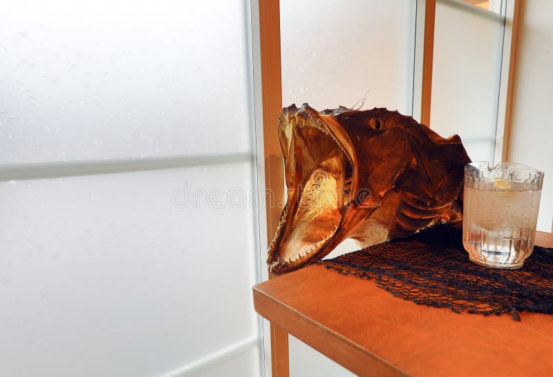 Dried Head of Large Carnivorous Fish. Stock Image - Image of dried ...