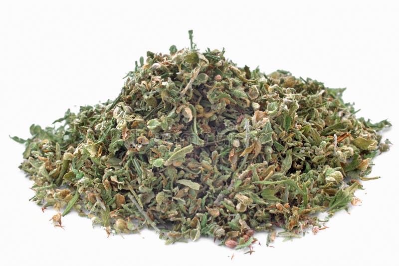 Dried Hemp Leaves with Seeds Stock Image - Image of background ...