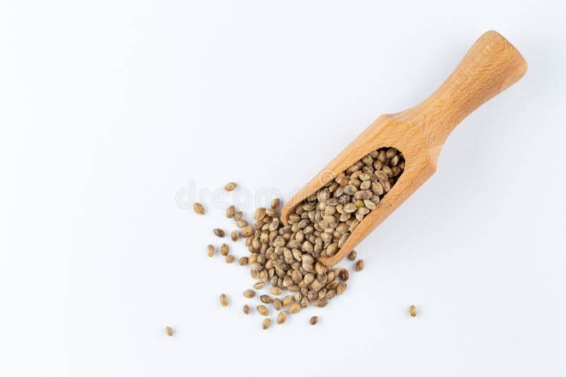 Dried hemp seeds stock photo. Image of grass, healthy - 223892116