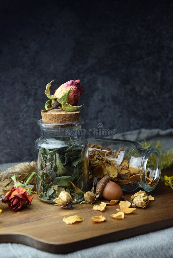 Dried Herbs and Flowers Mix Stock Photo - Image of everlasting, green ...