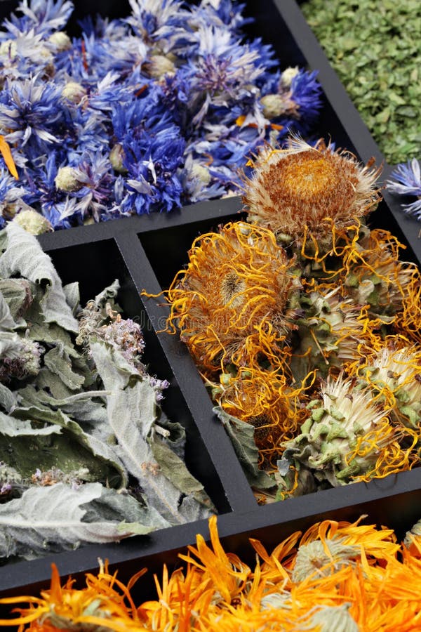 Dried herbs. stock photo. Image of meta, flower, cornflower - 34306930